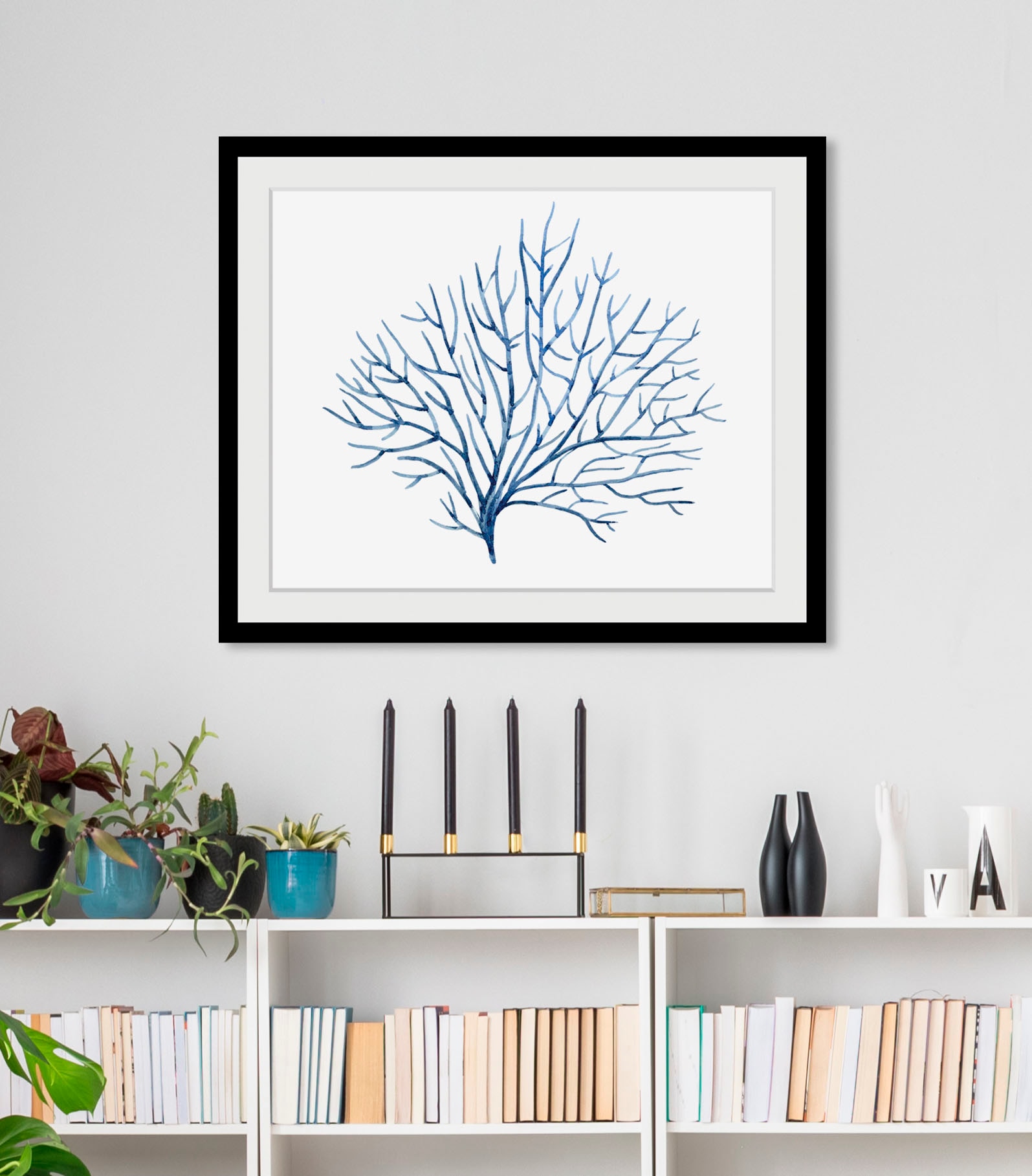 queence Bild »Cody«, Meer-Wassertiere-Kunst, (1 St.), HD Premium Poster ...