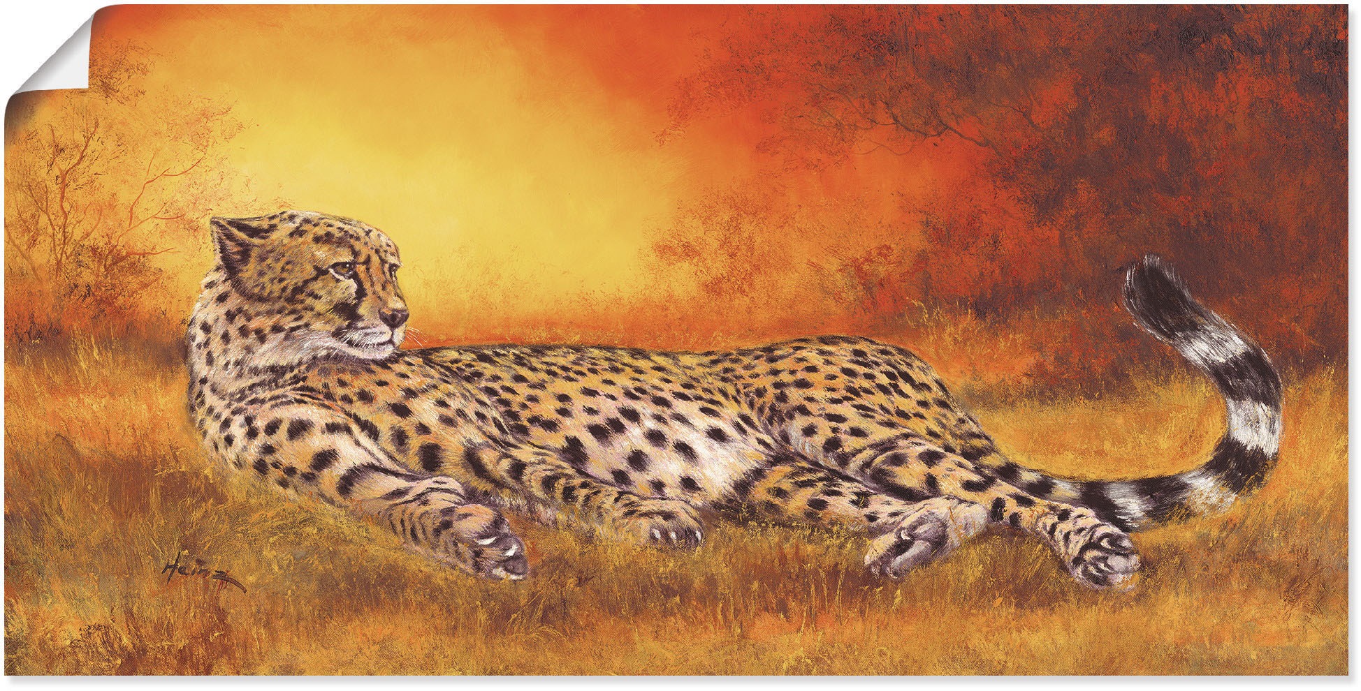 Artland Wandbild »Gepard«, Geparden Bilder, (1 St.), als Alubild ...