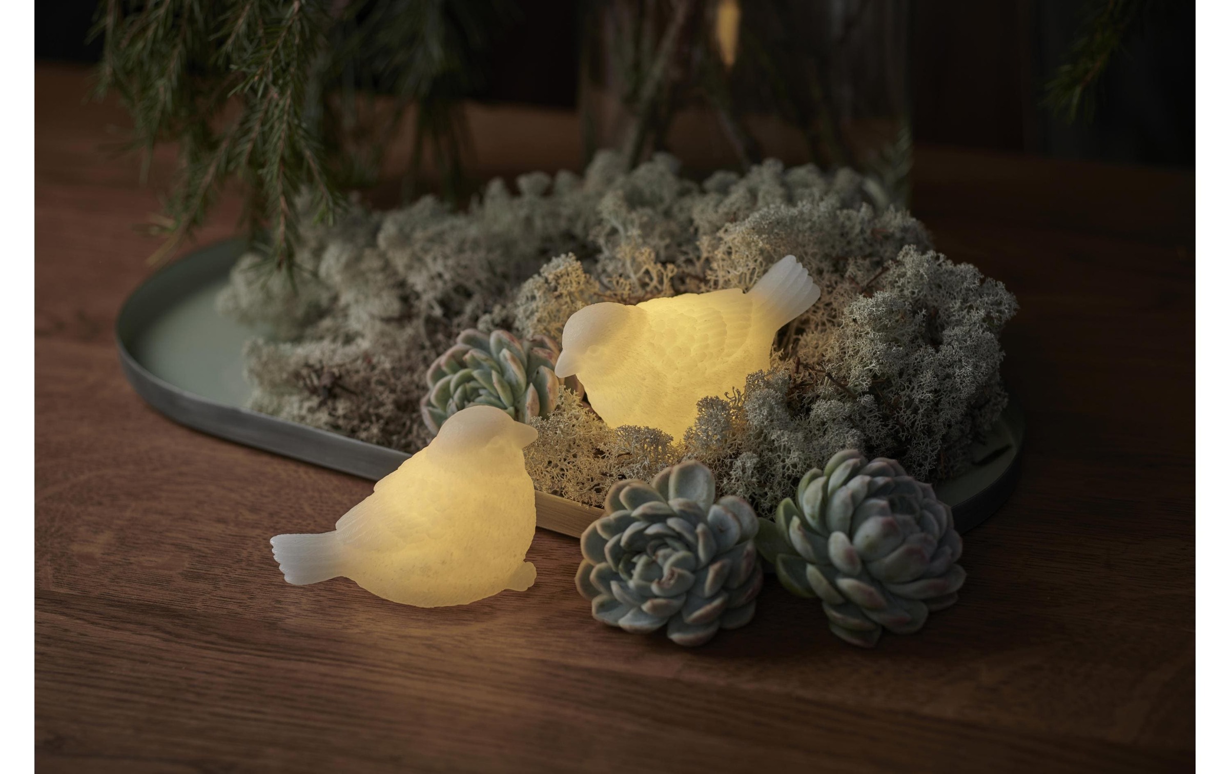 Sirius LED Dekofigur »LED Wachs Vogel Erica, 2er Set« günstig kaufen ...